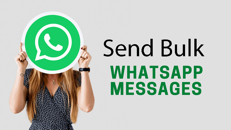How to Send Bulk WhatsApp Messages to Your Customers?